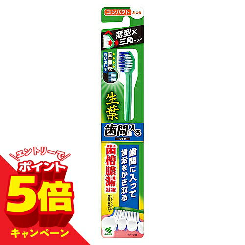 ※パッケージデザイン等は予告なく変更されることがあります。予め御了承下さい。 ※カラーは指定できません。 【商品特徴】 生葉（しょうよう）歯間に入るブラシ 歯間に入って汚れを除去 届きにくい歯間の歯垢まで落とせる歯ブラシ 歯槽膿漏対策を考え...