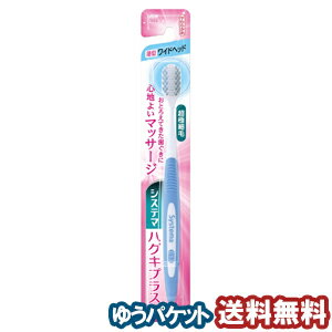 ※パッケージデザイン等は予告なく変更されることがあります。予め御了承下さい。 ※カラーはご指定できません。予めご了承ください。 【商品特徴】 ・「システマ ハグキプラス ハブラシ」は、歯ぐきのおとろえが気になりだした方むけの歯周病ケアができ...
