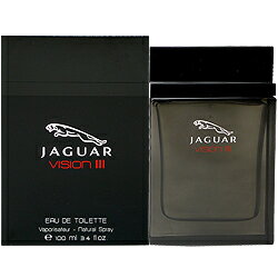 2011年に発売されたメンズ香水です。2010年の「ヴィジョン」から始まった、シリーズ物の第三弾となります。一作目がダンディズム、二作目がモダン・フレッシュならば、今回の作品はその中間を行くようなトーンで、オリエンタル・ウッディーの香調をベ...