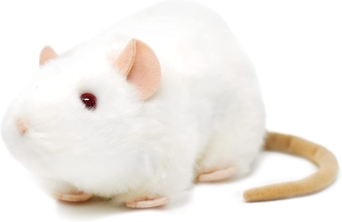 【 静かなやさしさは、白くてあたたかい 】ワイリーは、まっしろな毛並みを持つホワイトラット。 おおきな音はにがて。 だけどあなたの声は、ちゃんと覚えてる。 そばにいてほしいって思うときに、 そっと隣で丸くなって、なにも言わずにいてくれる――...