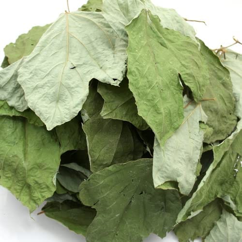 無添加無着色の小動物用おやつ国産くずの葉20gお徳用パック機能おやつ特長●自然の中で育った素材を最適な時期に1つ1つ丁寧に手摘みし、自家乾燥させました。●着色料や保存料、添加物は使用しておりません。素材そのままなので安心です。●保存に便利な...