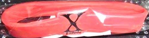 X JAPAN WORLD TOUR 2015-2016 IN JAPAN、2015年　12/15 　日本ガイシホールの会場限定で発売されたシリコンバンドです。内側に黒色でツアー名や、会場名が入っています。表面の「X　JAPAN」の文字も黒...