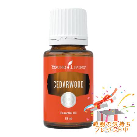 ＜コード:3120＞アロマヤング・リビング シングルエッセンシャルオイル シダーウッド 15mL・リラックスしたいとき・就寝前に・瞑想時《内容量：15mL》【広告文責】・お問い合わせ先:有限会社美彩[order@bi-sai.jp]・メーカ...