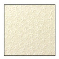 〔プリントペーパー：カラー素材紙（花柄の凹凸模様）〕表面に小さな花柄の凹凸がある風合い豊かな用紙。【絹】（A4サイズ・10枚）■ 裏面に模様はありません。【注意事項】※ 表示画像は実際と多少異なる場合がございます。※ モノクロレーザプリンタ...