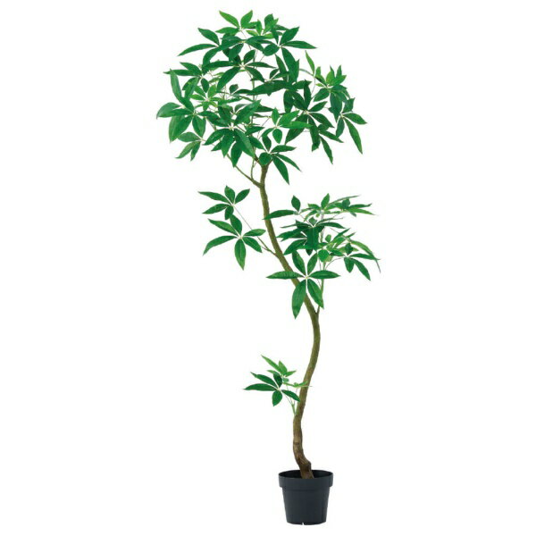 フェイクグリーン　パキラ　組み立て式　グリーン サイズ H180 W80 ポット:H17.5 φ19 素材 (プラスチックシート・ポリエチレン・プラスチック) 【花言葉】 【快活】【勝利】 風水では【仕事運向上】【集中力を高める】効果がある...