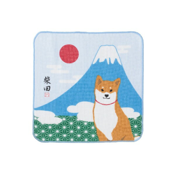 綿100％のガーゼタオル。表地はガーゼ生地、裏地はパイル地の2枚地です！普段の持ち歩きやお子様用にも♪