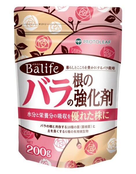 バラの根を強化する堆肥で、18種類の菌根菌と6種類の有用微生物配合。菌根菌が肥料効果を高め、水枯れしにくくします。根の届かない水分や肥料分を菌糸で植物に届け、生育を促進します。