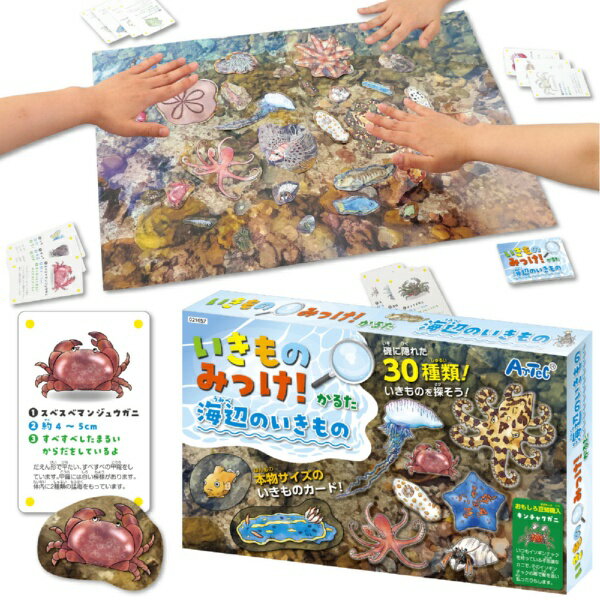 磯に隠れたいきものを探すかるたです。生き物の名前と特徴を読み上げられたら、磯の海辺シートの上に置かれた生き物カードを取ります。磯に隠れる小さなサイズの生き物なので、カードは本物サイズになっています。特徴だけでなく、面白豆知識もついています。...