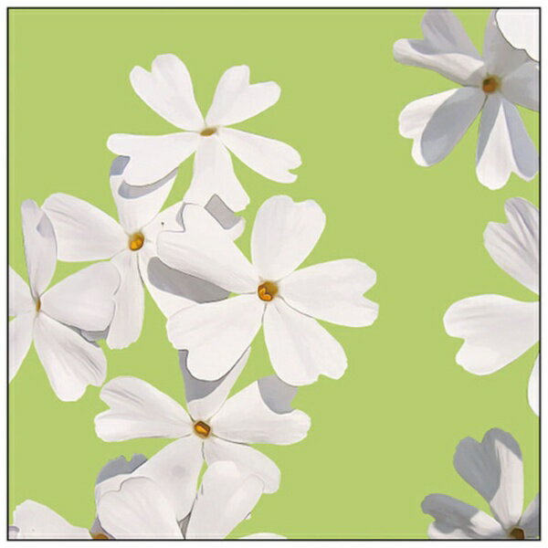 ■インテリアや店舗装飾に最適なキャンバスアートです。■色褪せしにくいUVプリントで耐摩耗性に優れているので、綺麗な発色が長持ちします。■キャンバス地の風合い、マットで高級感のある仕上がりがグッとおしゃれな印象を与えてくれます。■正方形タイプ...