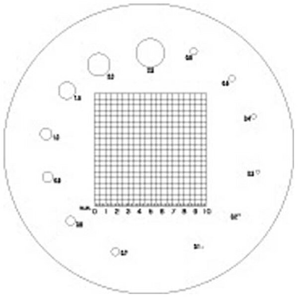 リーフ ガラススケール S-207