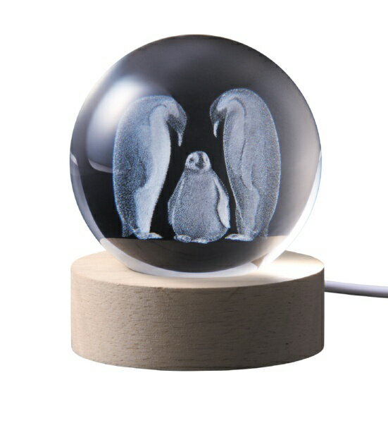 ●サイズ：W60×H75×D60mm ●重量：320g ●材質：ガラス・木 ●電源：USB接続 ●コード長：93cm ※LEDの交換はできません。 ※AC電源アダプターは別売品となります。