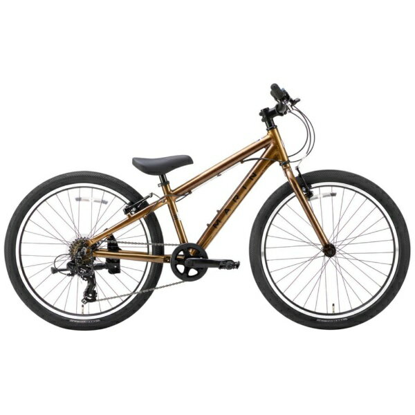 小学校 3年生ごろから乗れるマウンテンキッズバイク身長が低いお子様でも乗りやすい特別な一体型サドルを使用しています。そろそろスポーツや習い事が始まる年齢だと思います。お友達と一緒に帰る事も多くなる中で、自慢できる自転車を目指しました。スピー...