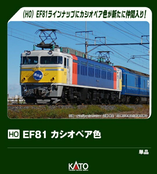 白を基調に黄・橙・青のカラーリングが特徴の「カシオペア」色を新たに製品化。■別売の(HO)24系 寝台特急「北斗星」客車各種製品や、〈3-522 (HO) 24系 〉の牽引機としてオススメです。平成10年代半ば頃〜平成23年(2011)のH...