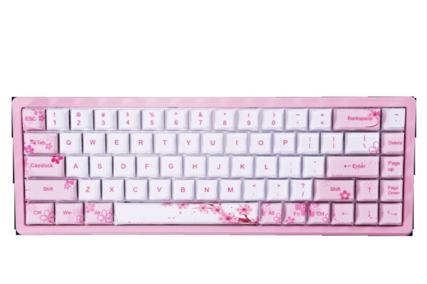 EverGlideからコストパフォーマンスに優れた65％レイアウトのラピッドトリガーキーボードが登場デザイン性も抜群！EverGlide AE68 Proは、圧倒的なコストパフォーマンスを誇る65％磁気キーボードです。ハイエンドモデルに匹敵...