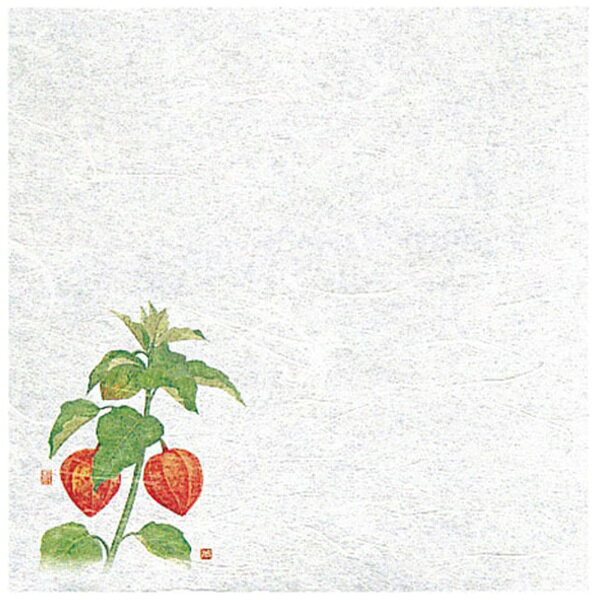 ■用美 業務用 新・濡れ奉書紙 ほおずき（100枚入）yamaco65398