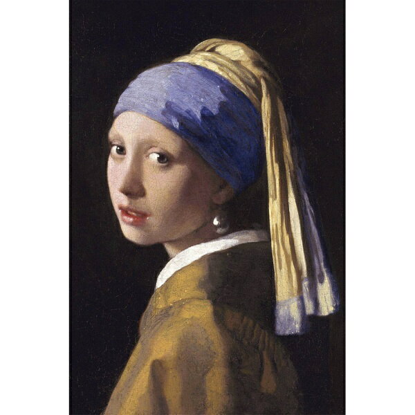 フェルメール全盛期の作品であり、日本でも人気の高い名画「真珠の耳飾りの少女」。2026年8月には大阪中之島美術館で開催の「真珠の耳飾りの少女展」に展示される予定です。映画化もされた名作を1000ピースで。【仕様】・ピース数： 1000ピース...