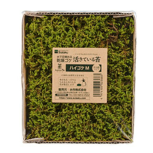 水で目覚める！■商品説明●水で目覚める乾燥ゴケです。●テラリウム、盆栽、植木のレイアウト、ザリガニ、カニ飼育のケージ内等いろいろな用途で使えるとっても便利な天然ゴケです。●天然のコケなので、水槽内に自然な風景を演出することができます。●霧吹...