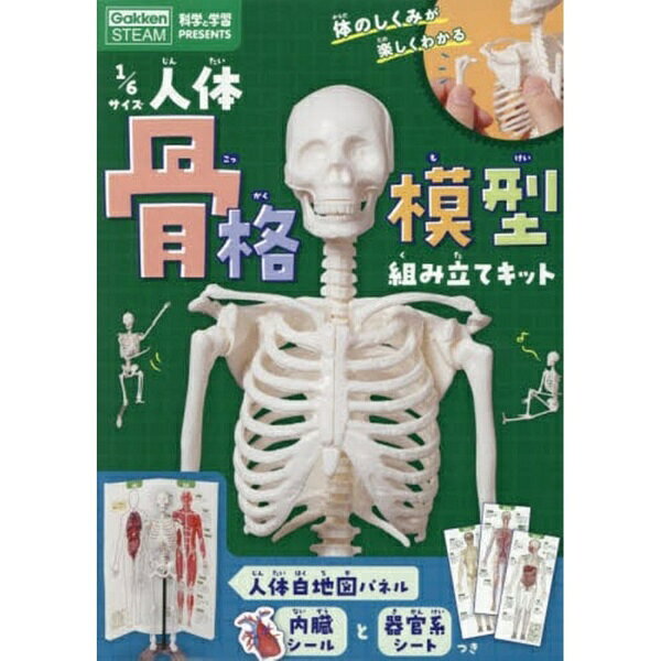 リアルな模型をパズルのように組み立てるうちに、体のつくりがよくわかります。骨格模型だけでなく、「人体白地図パネル」やパネルにはる「内臓シール」、パネルを着せかえられる「器官系シート」もついて、骨と筋肉や内臓の位置関係もしっかりと学ぶことがで...