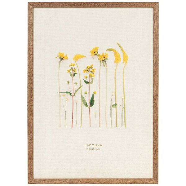 ■細いフレームが奥ゆかしい風合いなので、インテリアにやさしく溶け込みます。外寸： 223×310内寸： 211×298窓寸： 204×291材質： ウォールナット材