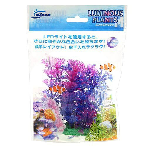 カンタン水に入れるだけ！■商品説明●水槽に入れるだけで水中に酸素が溶けだします。●金魚、メダカ以外の魚の採集時や停電時等、緊急時の酸欠防止にもご使用いただけます。●電気を使わず約1．5ヶ月酸素を供給します。（水容量約10L毎に1錠使用）●小...