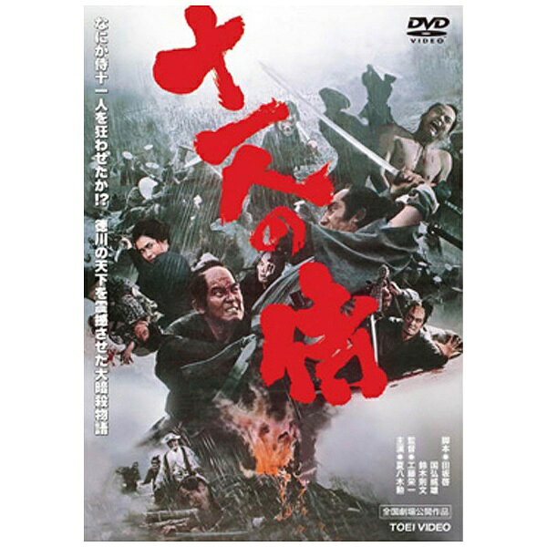極悪非道な大名のため主君をうたれ、敵討ちのため十一人の暗殺隊が編成された。第一、第二の決死の暗殺計画に失敗しながらも、なおも敵の大名の行列を追い続け、日光街道の山深い宿場を最後の決戦場として、命を懸けた驚くべき皆殺し作戦を決行する侍十一人。...