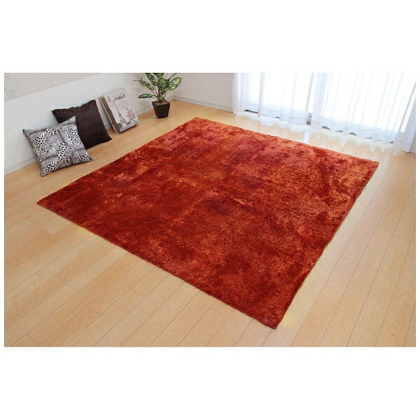 通気性に優れ、さらっとした肌触りのシャギーラグです。■適度な長さのソフトパイル短すぎず、長すぎない18mmのパイルがやわらかな手触りを生み出しています。さらっとしているので、オールシーズンお使いいただけます。■すっきりとしたオーバーロック仕...