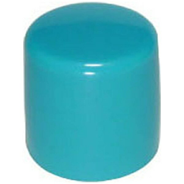 ペアネームの印面キャップです。※サイズ、色をお確かめの上お求めください。※商品の色は、実際の色とは異なります。 シャチハタ[印面キャップ] ペアネーム キャップ大 ブルー XL-W4PCL (XLW4PCLペアネームキャ)