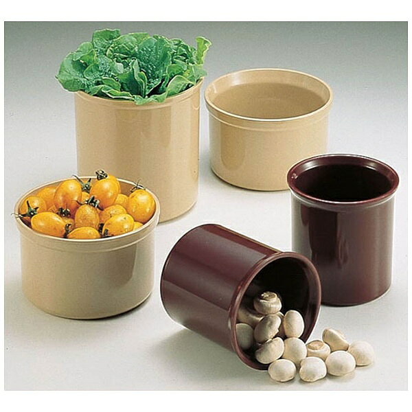 ■画像はイメージです。商品は1点です。色とサイズは仕様をご確認ください。■サラダオイルや酸にも強く、臭いもつきません。■密閉式の蓋が付いています。■材質:SAN素材製