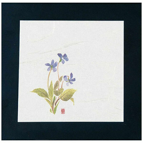 四季折々の美しいデザインが魅力の懐紙です。特殊加工により、絵柄の上に直接食品を載せても、水分や油分を通さず、盛り付けの美しさを保ちます。ラミネート加工済みで安心してお使いいただけます。100枚入りで、様々なシーンでご利用いただけます。