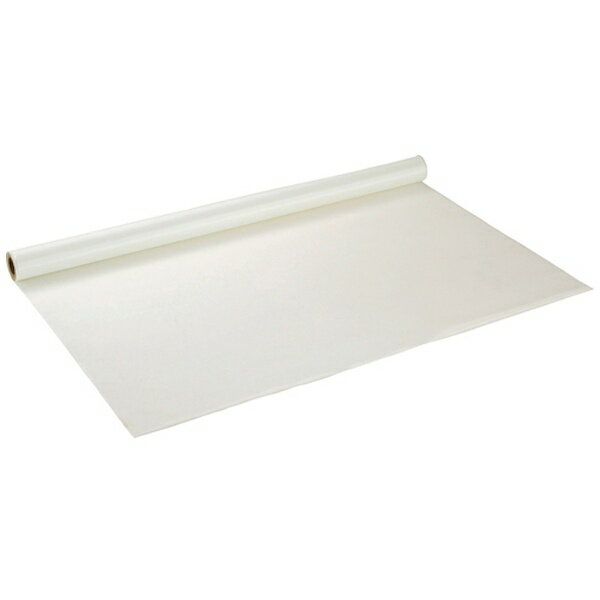 ■お求めやすい低価格タイプです。■極めて軽いため作業性がよく、扱いやすい10m巻です。■基布に不燃のガラスクロスを使用しているので、防炎シートとしてはもちろん、火花養生にも最適です。■クリア色タイプは不透明ながら透光性があるので、向こう側の...