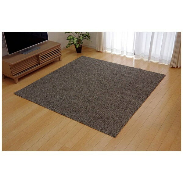 先染め糸を使用した3色MIXラグです。多色多サイズ展開ですの、お部屋に合わせてお選び下さい。3色のうち1色アクセントカラーを使用し、いままでにない色合いを表現しました。ナチュラルカラーで家具との相性も高く、高級感あふれる風合いで、ニーズに合...