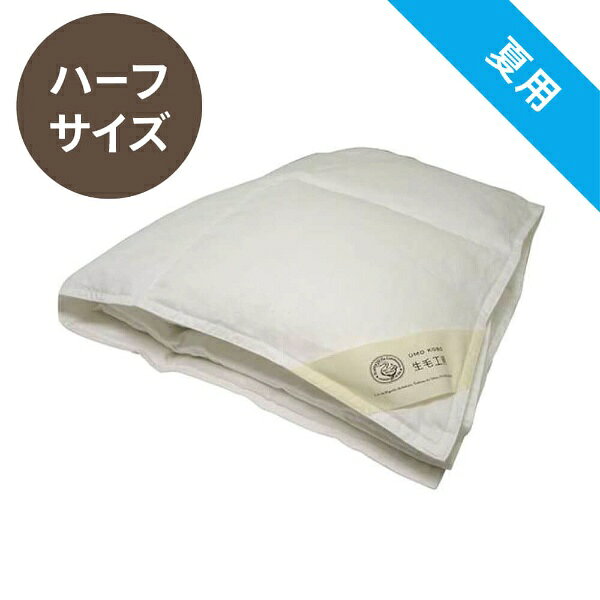 こんなサイズが欲しかった。ちょうど良いハーフサイズ。側生地に「麻」素材を使用。麻の素材は優れた吸水性とさらさらとした肌さわり。ウォッシャブル対応。高品質なポーランド産ホワイトグース95％のダウンを使用。良質なダウンはにおいが少なく、軽さ・放...