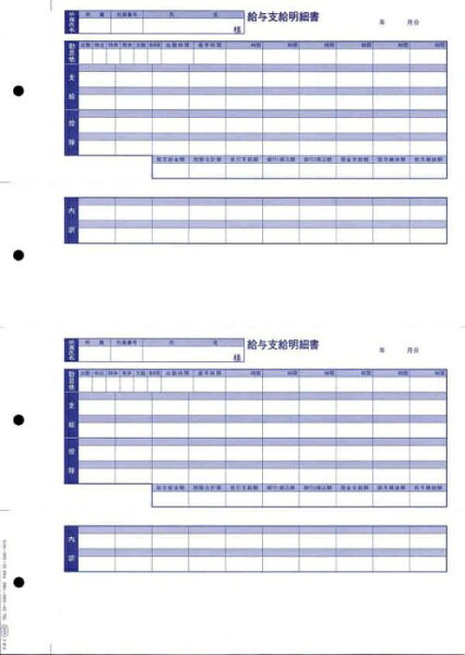 ■201004新労基本法対応サプライ オービック単票封筒用支給明細書(内訳項目付)09-SP6235 (09SP6235)