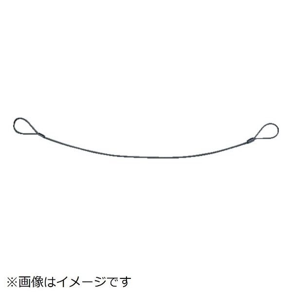 ■両端アイ加工済みですぐに使えます。■細くても強度があり目立ちません。【用途】・キャップやカバーなどの紛失防止の連結金具。・看板などの吊り下げ。【仕様】・ロープ径（mm）： 2.5・長さ（mm）： 300・使用荷重（kg）： 100.0・カ...
