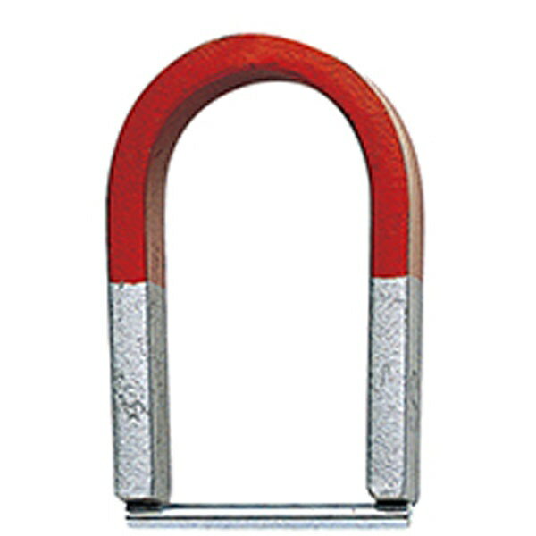 釘集めなどに使用出来る強力マグネット。■教材用としても使用できます。■強力タイプのマグネットです。