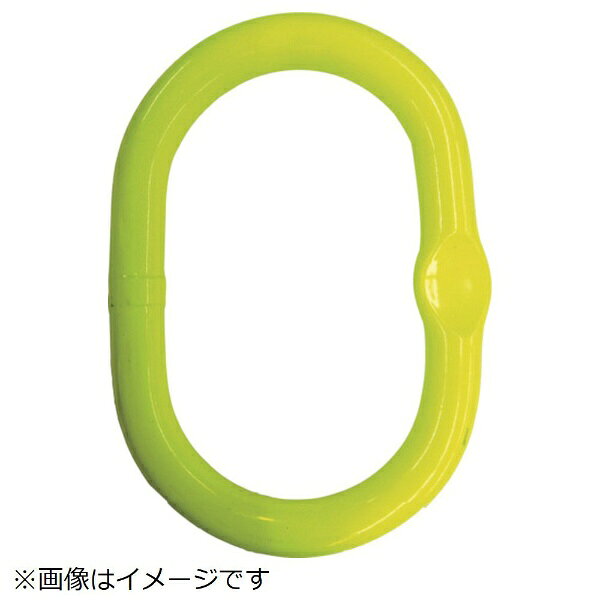 ■チェーンスリング・ワイヤスリングと組み合わせて使用します。■特殊合金鋼使用です。【用途】・玉掛け作業用。【仕様】・基本使用荷重（t）： 25.0・適合チェーン線径（mm）2本吊： 20・寸法（mm）D： 40・寸法（mm）P： 250・寸...