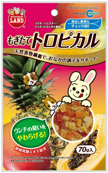 太陽の恵みをいっぱい受けたおいしいトロピカルフルーツをミックスしました。ビタミンたっぷりのフルーツで小さなペットも大よろこび！ --------------------------------------------------------...