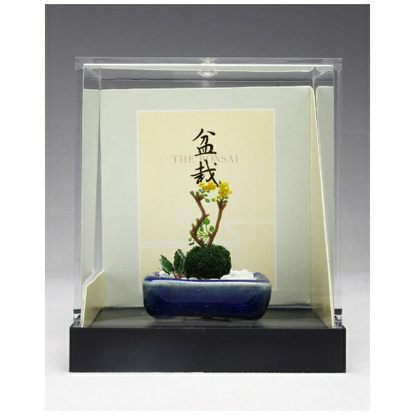 完成品ミニチュア盆栽“ミニチュアアートシリーズ”です。松や杉とはまた違う、和の雰囲気が漂う寄せ植えに新たなラインナップが加わります。縮尺はドールハウスの国際基準である1/12スケール。世界の著名なドールハウスコレクションに感じるような縮小世...