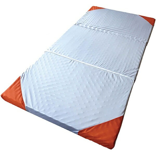 寝姿勢サポートマットレスレーブ●素材 側生地（ポリエステル100％●上部 吸乾速乾生地使用）中材 ウレタンフォーム（プロファイル）●お手入れ方法 風通しの良い場所で陰干し 【ビックカメラグループオリジナル】※本商品が対象となるクーポンは、そ...