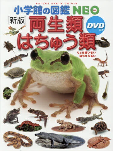 『両生類・はちゅう類』が大パワーアップ！　両生類は地球の歴史の中で、初めて水中から陸上へ進出した脊椎動物です。はちゅう類は、両生類から進化したグループで、トカゲやカメ、ワニのほか、鳥類などを生みだしました。この新版『両生類・はちゅう類』は、...