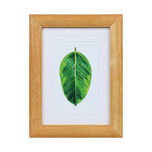 樹液を採集し終えたゴムの木を使用した、環境に優しい写真立てです。Lサイズ用、ハガキサイズ用の2枚のマットが付属しており、Lサイズ、ハガキサイズ、2Lの3サイズに対応します。ベーシックでナチュラルなデザインですので、どんなお部屋にも馴染みます。