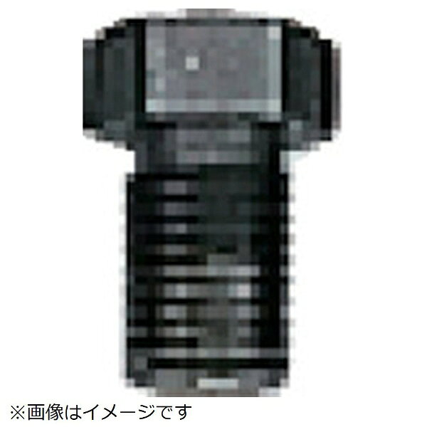 ■AS301用プレートボルト■AS310の補給部品■全長(mm)：34■全長(mm)：34■M18x2 ねじ■六角二面幅(mm)22