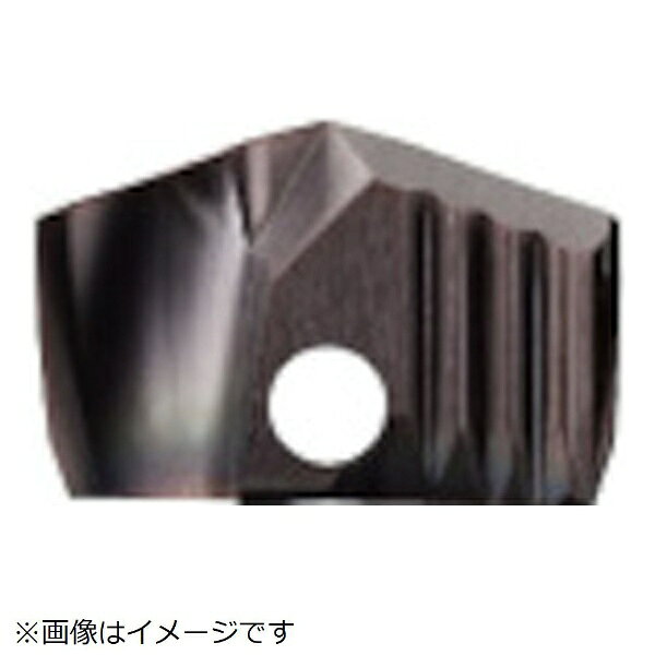 ■WS用チップCOAT
