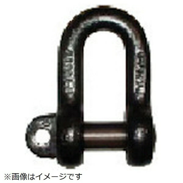 ■JIS規格シャックルです。■サイズが豊富でいろいろな用途でご使用いただけます。【用途】・土木、建築工事などでの荷物の荷役・連結金具として使用【仕様】・基本使用荷重（t）： 5・寸法（mm）B： 45・寸法（mm）t： 30・寸法（mm）d...
