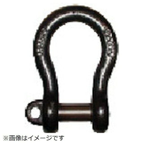 ■スタンダードなシャックルです。■サイズが豊富でいろいろな用途でご使用いただけます。■土木、建築工事などでの荷物の荷役・連結金具として使用■寸法(mm)d3：10■寸法(mm)D：24■寸法(mm)B：16■寸法(mm)t：8■寸法(mm)...