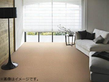 イージーオーダー可能で、ミックスさせた杢糸を使った色に深みのあるカットパイルカーペット。■組成：ポリエステル％■パイル長さ6.5mm ［オーダーカット対象商品］オーダーカットサービスについてはこちらをお読みください。