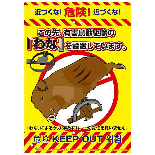 色鮮やかで高い訴求力抜群。