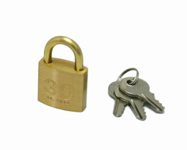 シリンダー錠タイプの南京錠です。南京錠・符号錠・ダイヤル錠シリーズ扉・ロッカー・郵便受け等の施錠。ポピュラーな錠前です。サイズ： 30mm。