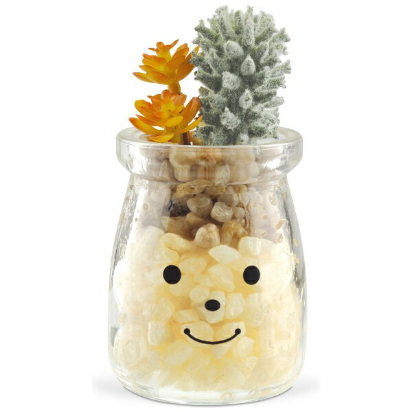 風水効果でスマイルとラッキーを運ぶ個性豊かな多肉シリーズ。■サイズ： ・KH-61150 ： 75W・80D・120H・KH-61151 ： 55φ・105H・KH-61152 ： 100φ・120H・KH-61153 ： 100φ・95H...