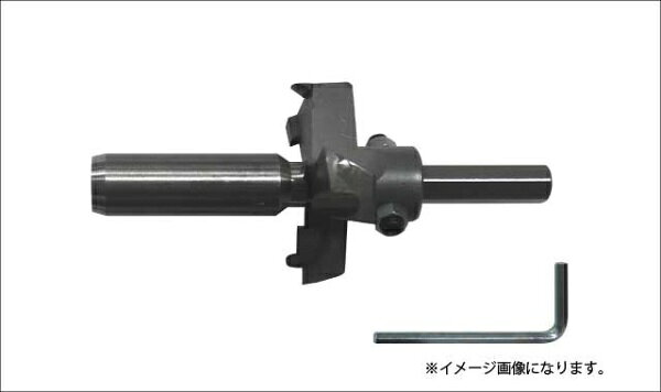 ●掘ガイドと座掘ドリルを交換すれば、座グリと下穴あけを一度に行うことができます。●適用材： 一般木材●材質： ガイド・ドリル　普通鋼/カッター　普通鋼・超硬チップ付●適用機種： 電気ドリル●適正回転数： 500から1，000回転/分●サイズ...